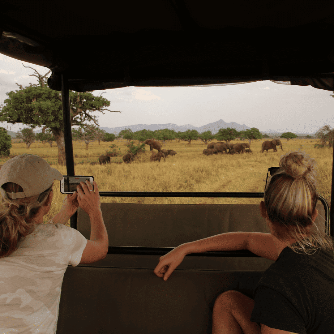 Why Choose | Explorer Chick