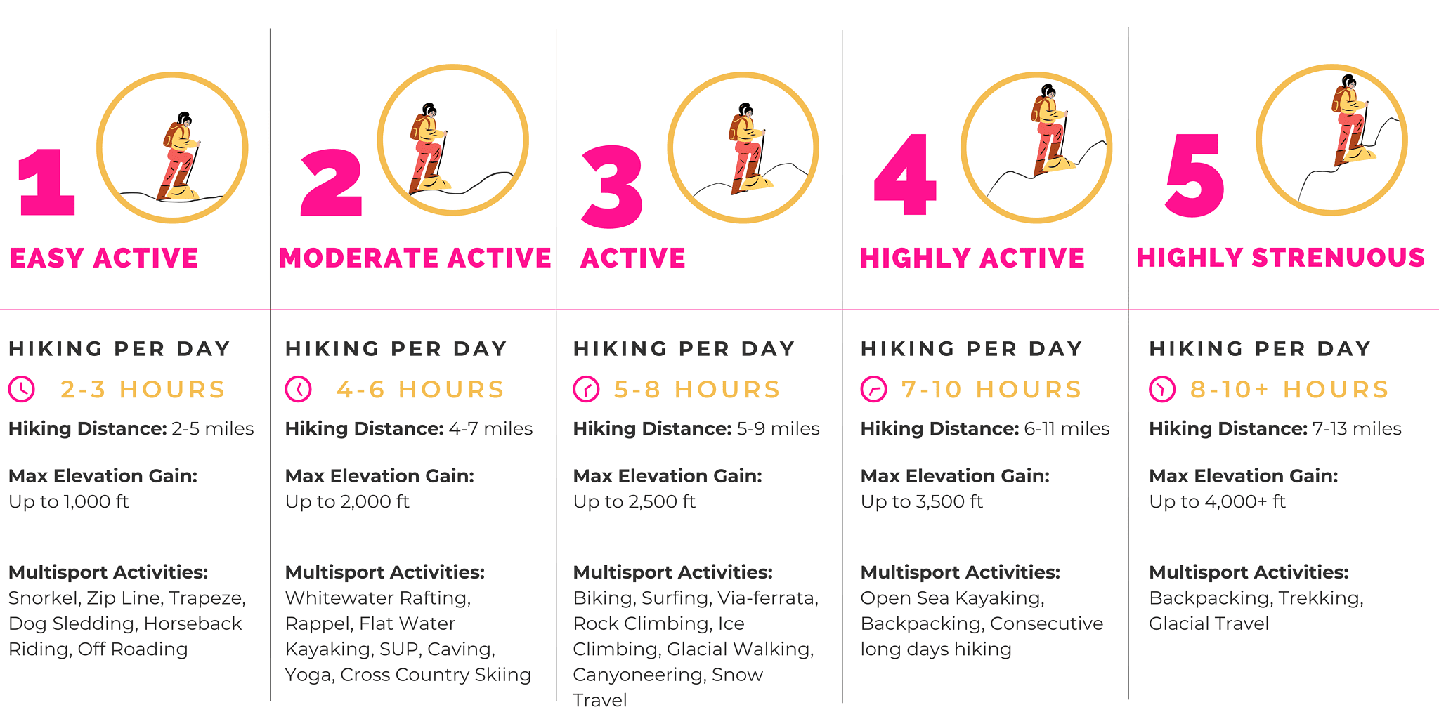 Activity Levels | Explorer Chick